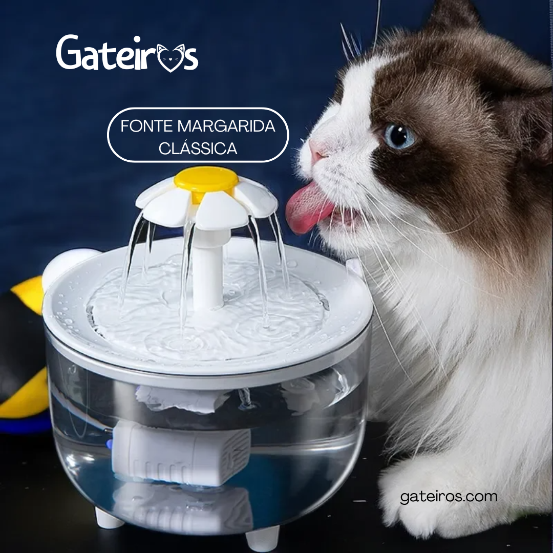 Fonte Margarida Clássica